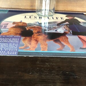 Linda Ronstadt Lush Life Asylum 1984 Vintage Vinyl Record Album - Etsy