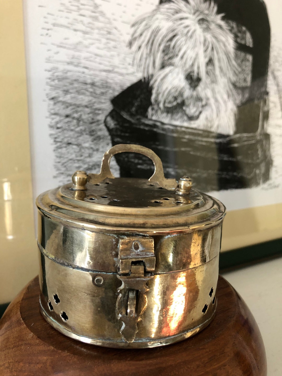 Brass Cricket Box/trinket Box With Hinged Lid Made in India - Etsy