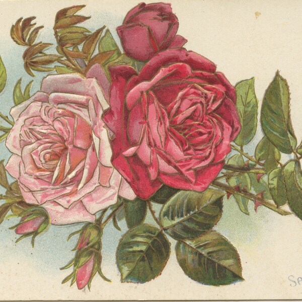 Embossed Postcard - Etsy