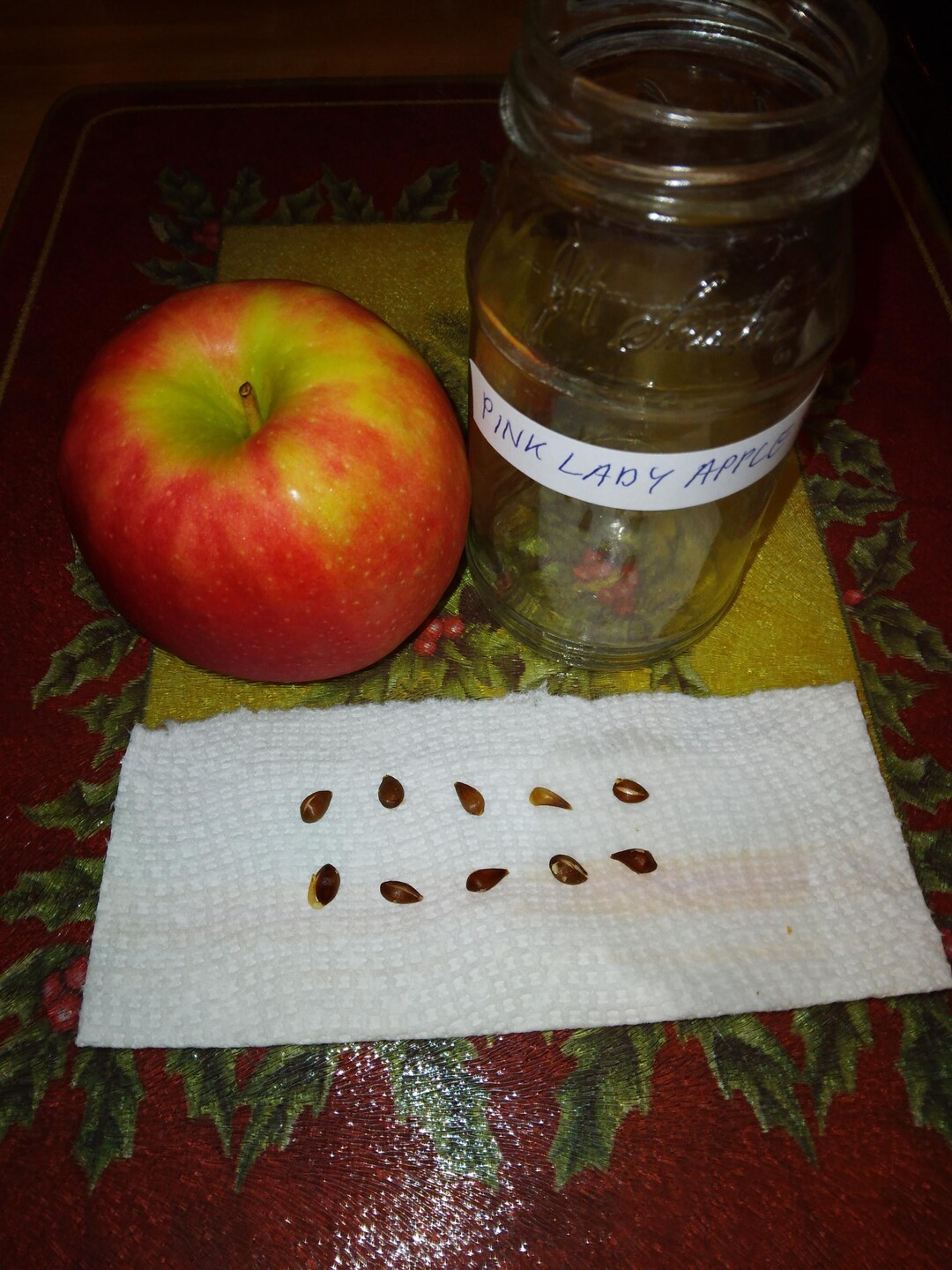 10 Pink Lady Apple SEEDS - Low Chill -tastes Similar to Mcintosh -can ...
