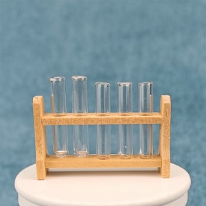Miniature Laboratory Container Bottle Toys Dollhouse Gift 1:12 Scale - Etsy
