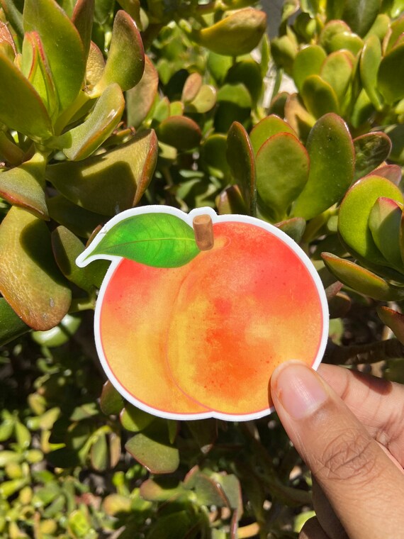 Paper & Party Supplies Water Bottle Decal Cute fruit sticker Peach ...