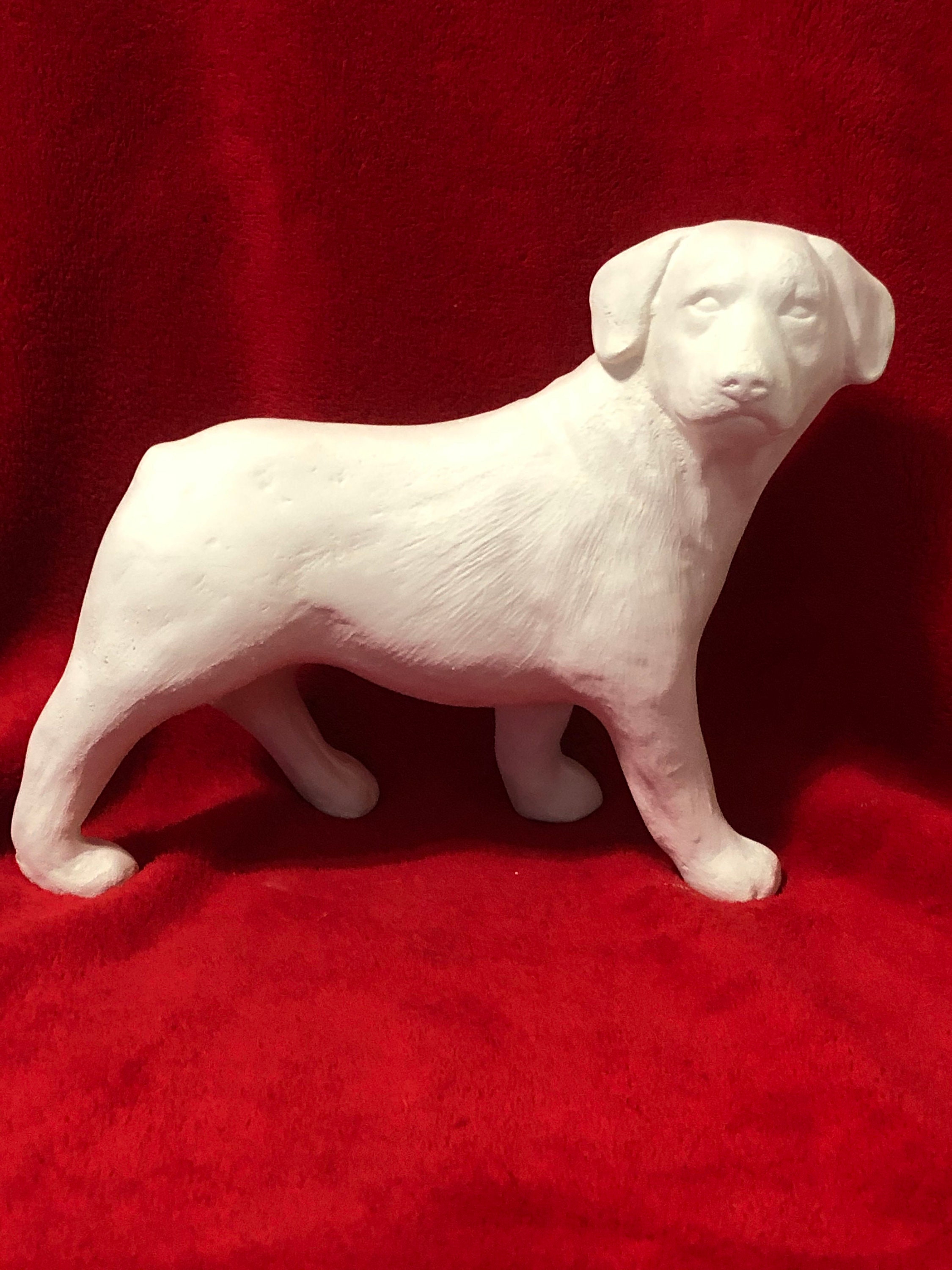 Porcelaine Dog