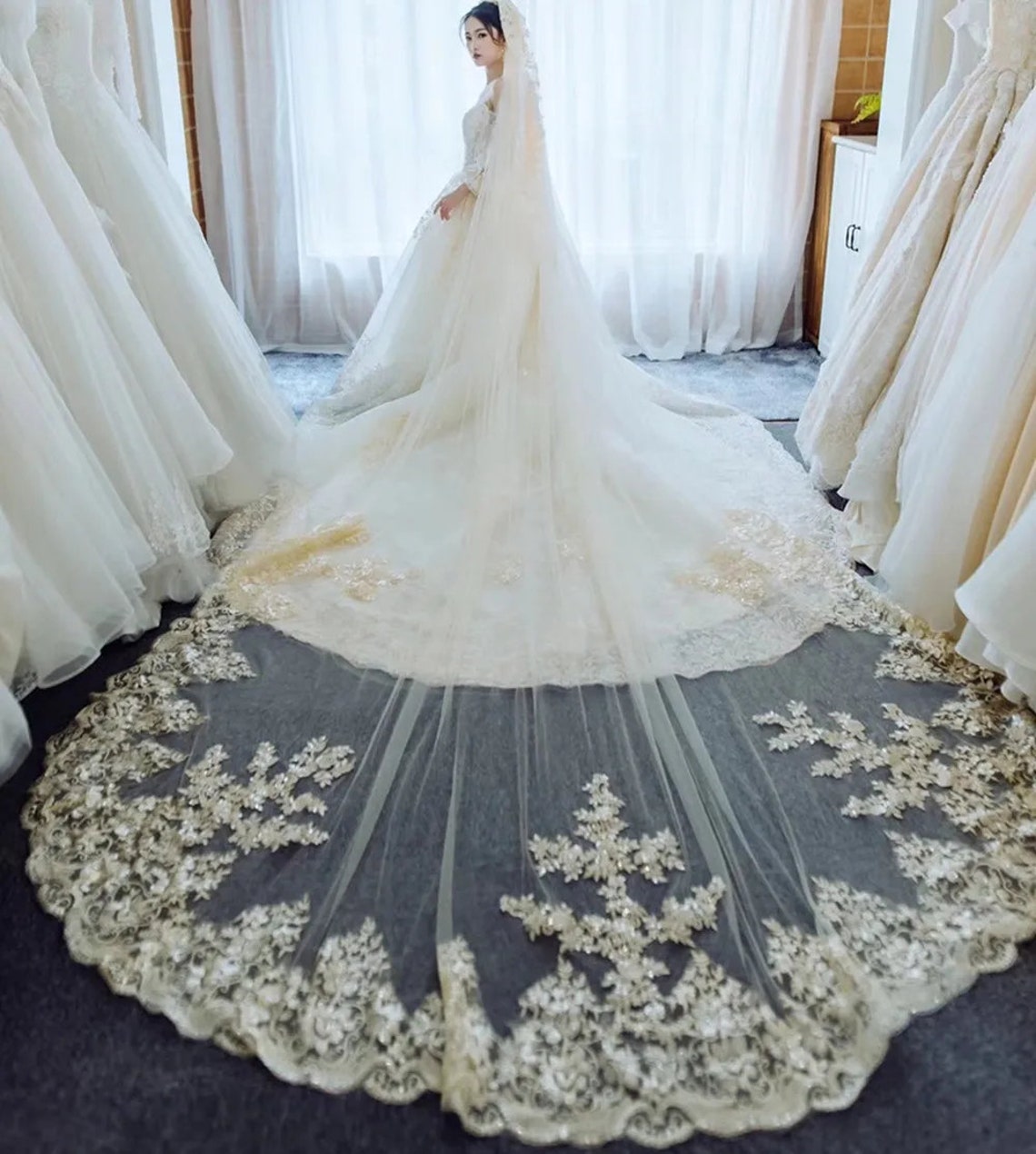 Long Bridal Veils Cathedral Wedding Veil Lace Applique Edge Luxurious ...