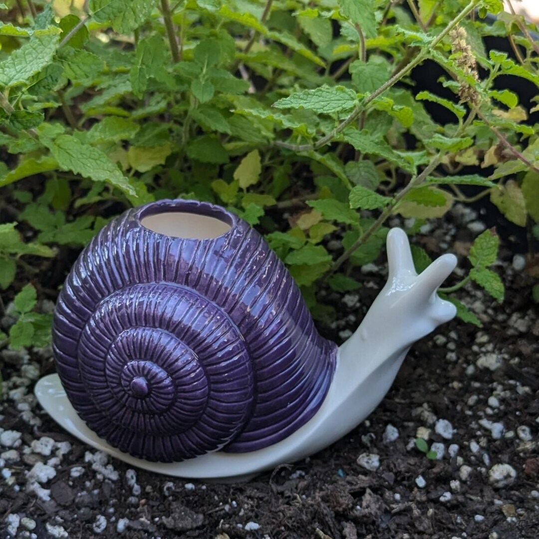 Snail - Self Watering Ceramic Plant Spike Olla for Houseplants and ...