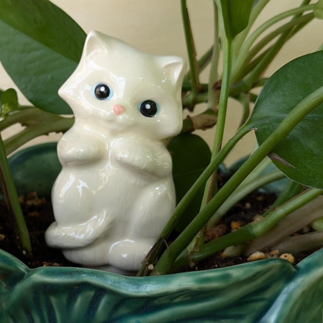 Kitten Plant Spike: Self-watering Ceramic Olla for Houseplants and ...