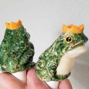 Royal Prince Charming Frog Plant Watering Spike Plant Care Made Easy ...