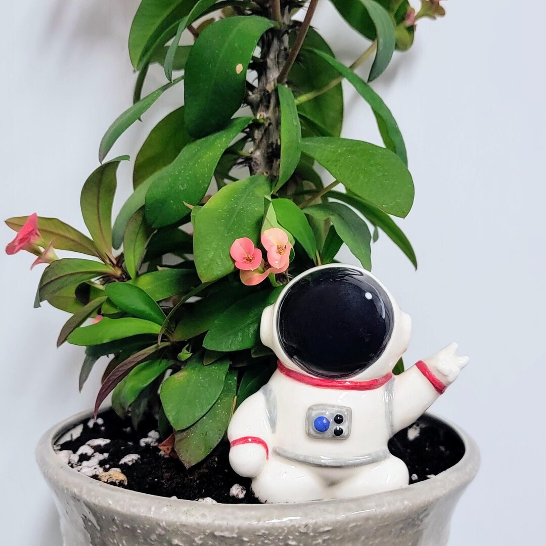 Astronaut - Self Watering Ceramic Olla Plant Spike for Houseplants and ...