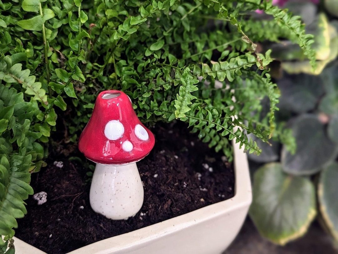 Small Toadstool - Self Watering Ceramic Olla Plant Spike for ...