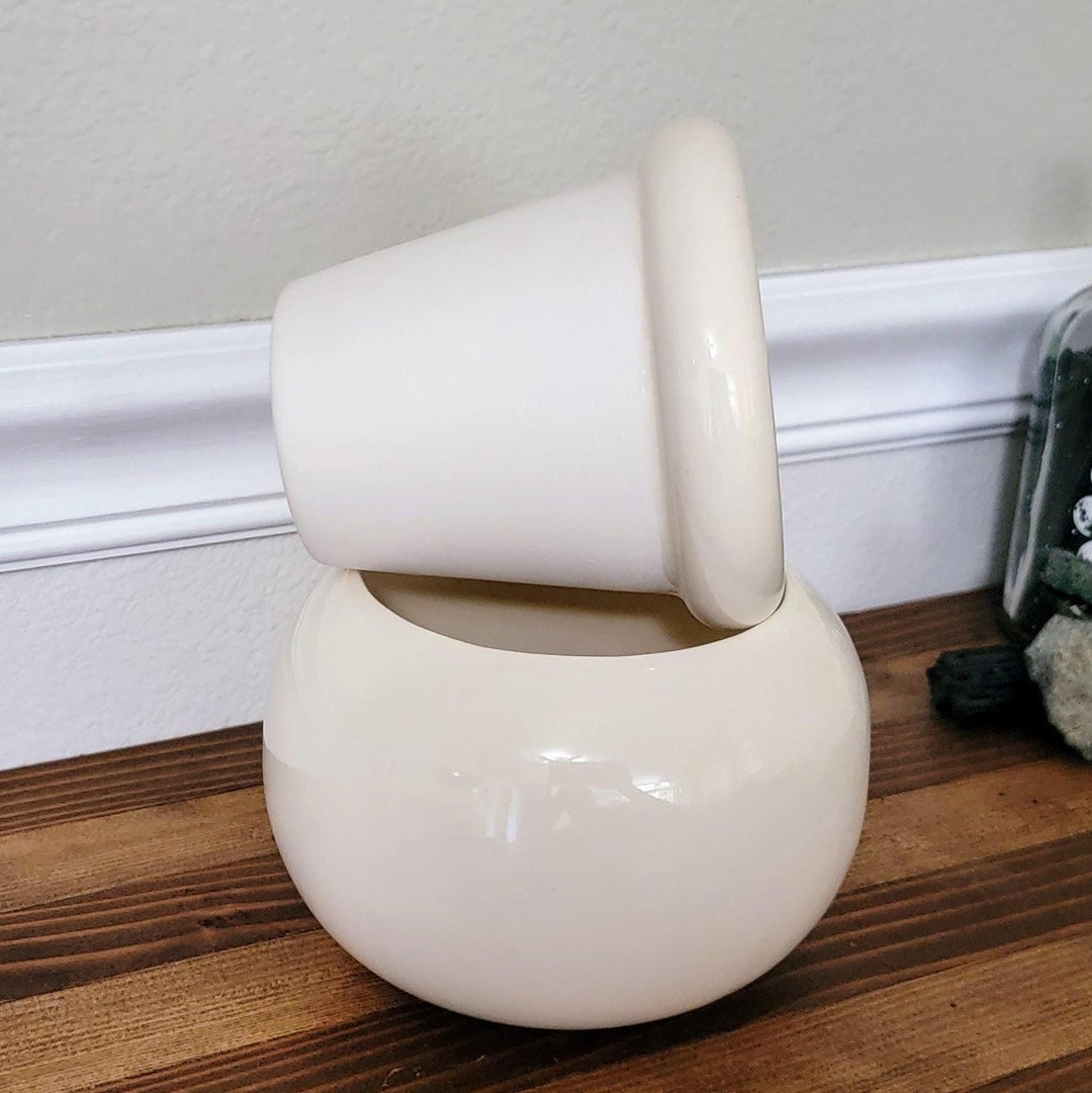 Medium Ceramic Bubble Self Watering / African Violet Pot - Etsy