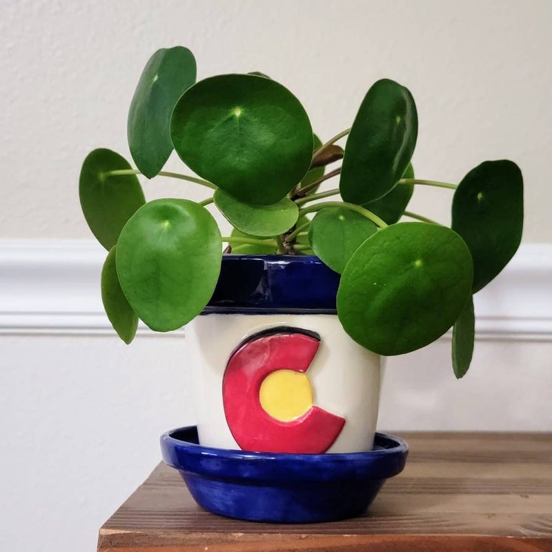 Colorado Handmade Plants - Etsy
