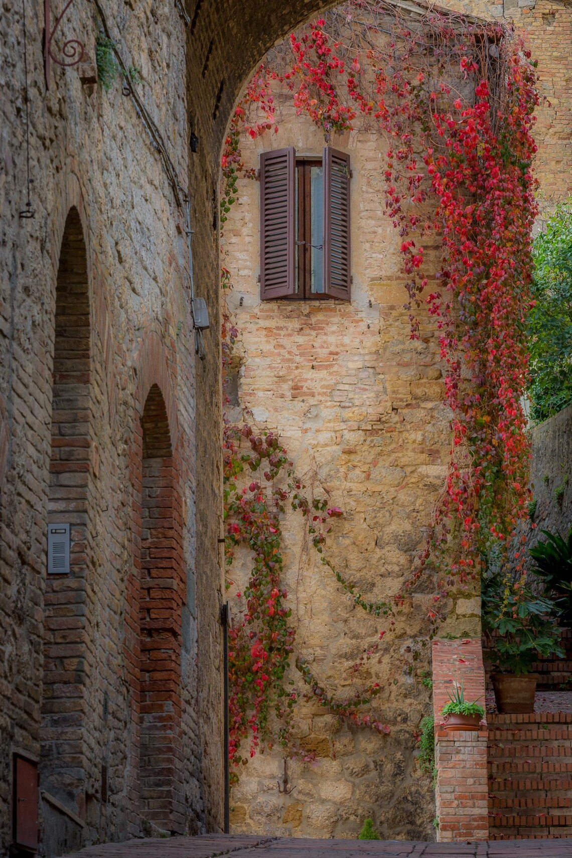 Sumit Dua Captured a Photo of a Window in Italy - Etsy