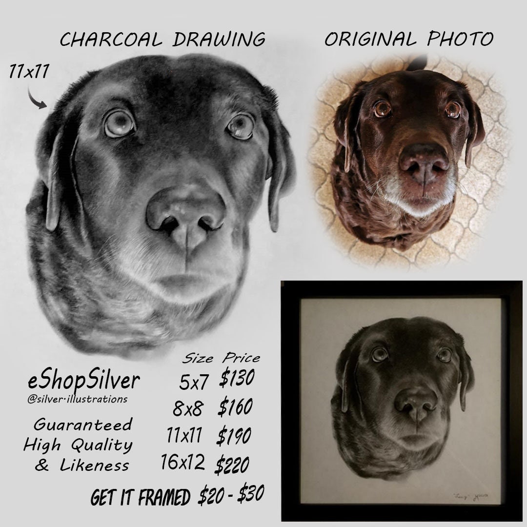 Charcoal and Graphite Drawing/portrait From Photo Hand Drawn - Etsy