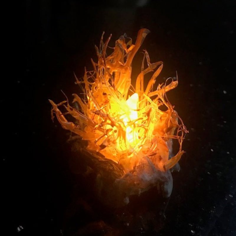 Miniature Campfire 1 12 - Etsy