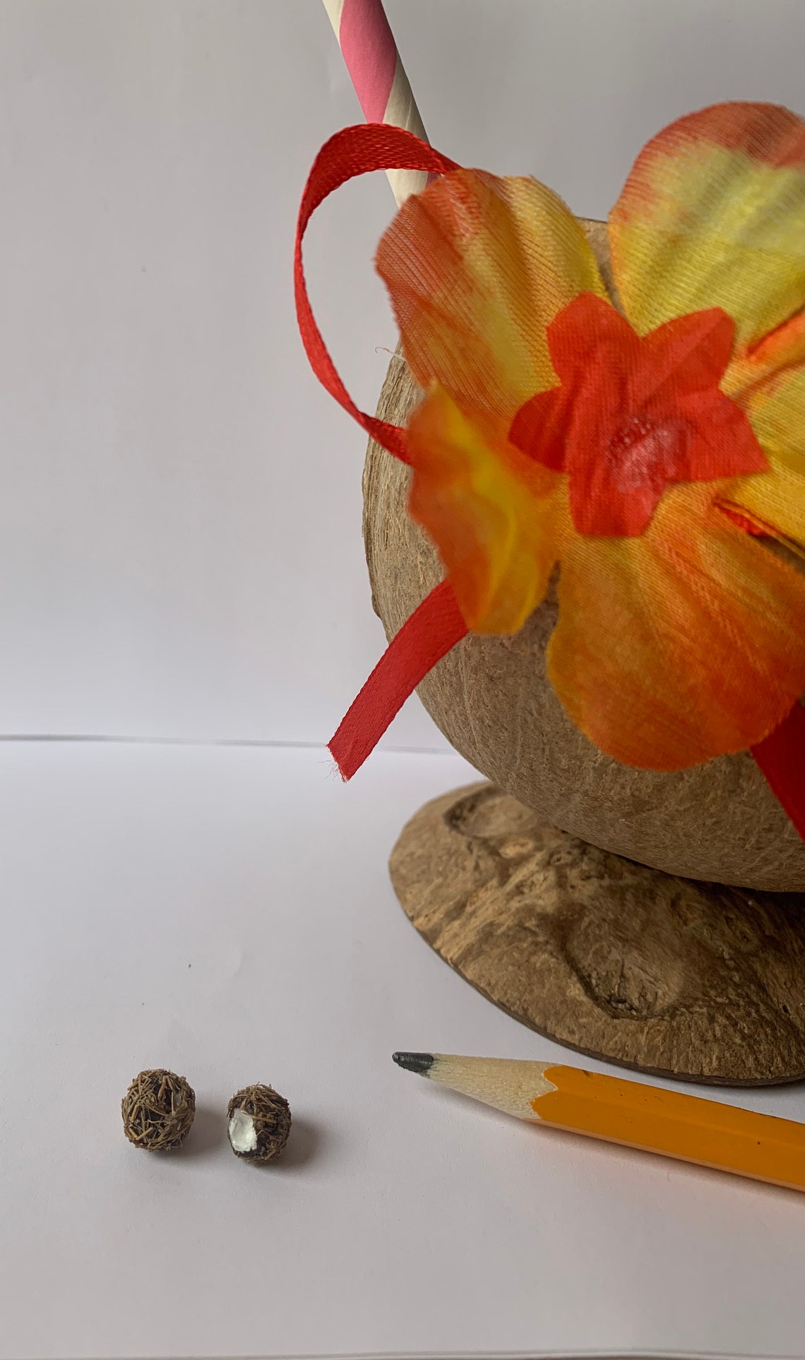 Dollhouse Miniature Coconut Mini Coconuts 1:12 Scale Mini - Etsy