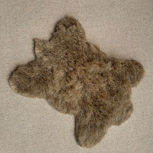 Dollhouse Miniature Faux Bear Skin Rug, Mini Fur Rug, Miniature Decor ...