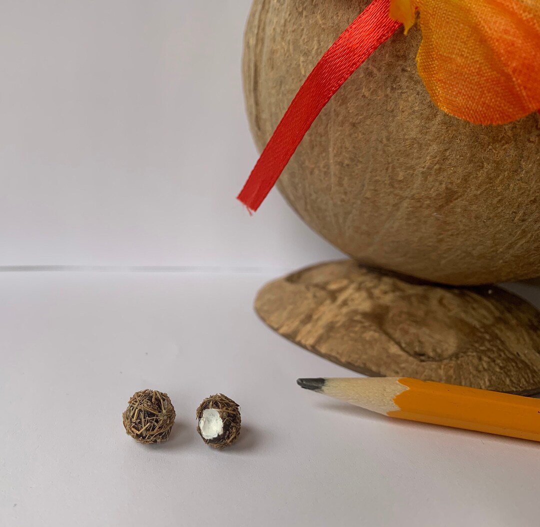 Dollhouse Miniature Coconut, Mini Coconuts, 1:12 Scale, Mini Fruit - Etsy