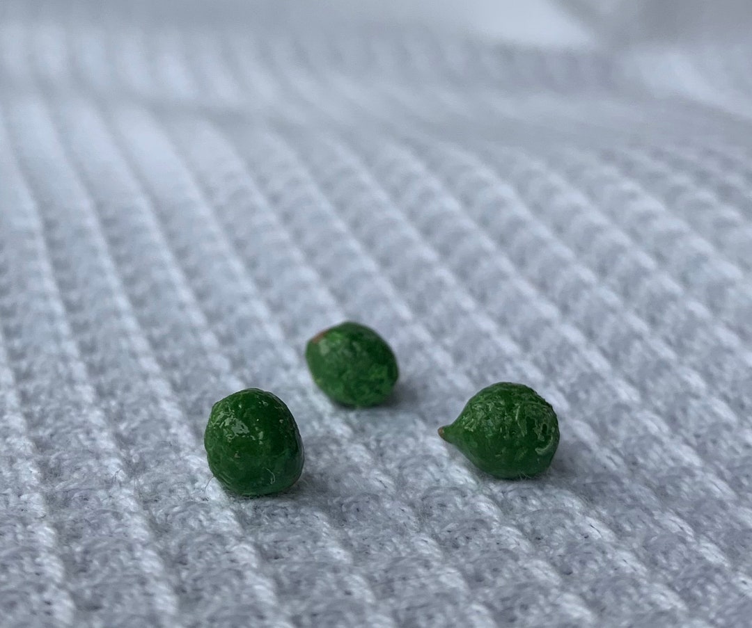Dollhouse Miniature Limes, Mini Fruit, Limes, 1:12 Scale - Etsy
