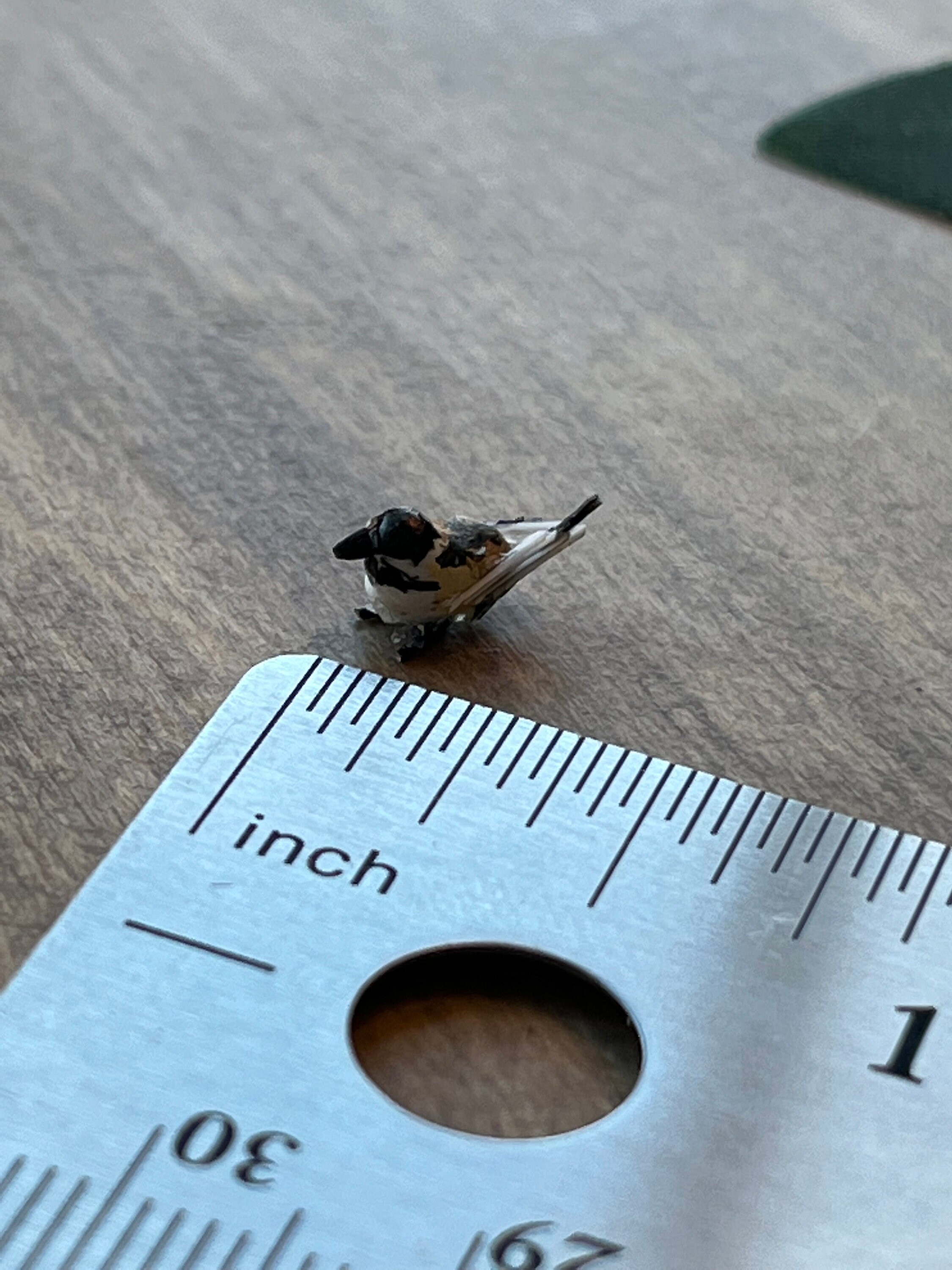 Dollhouse Miniature Chickadee, 1:12 Scale, Mini Nature, Mini Bird - Etsy