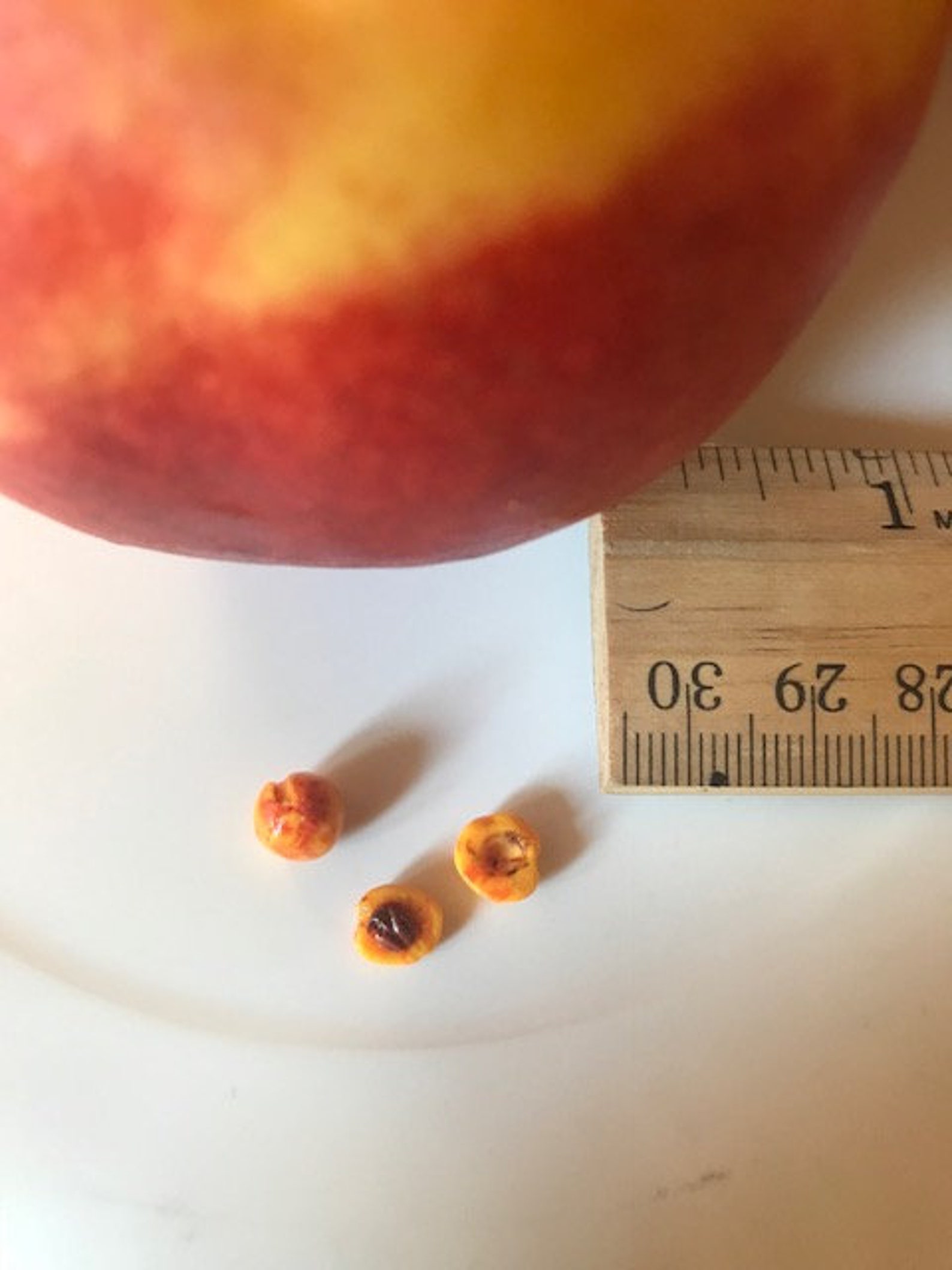 Miniature Dollhouse Fruits Nectarines 1:12 Scale Mini - Etsy