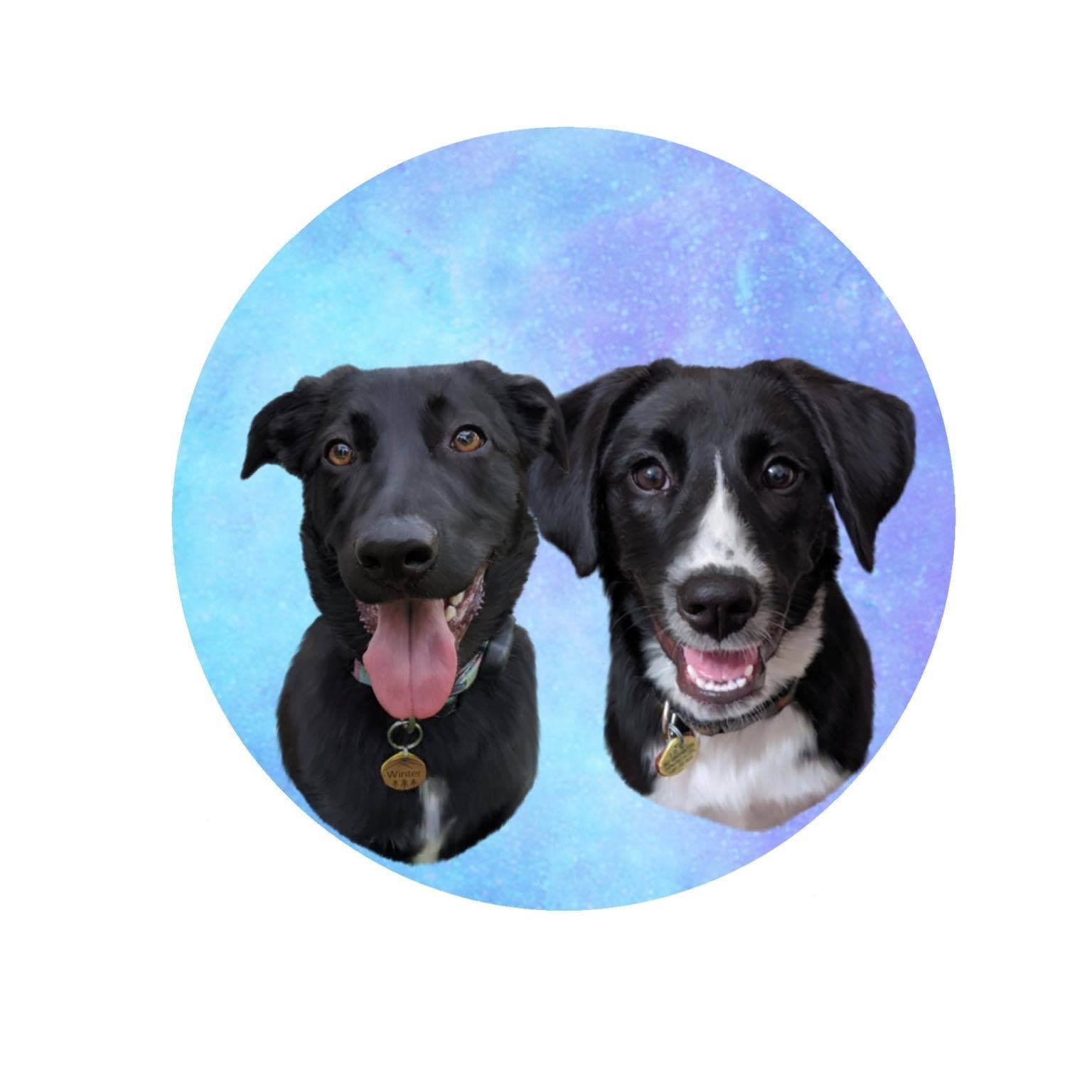 Galaxy Style Custom Digital Pet Profile Picture Fully Customizable ...
