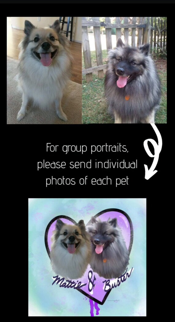 Pet Supplies Pet Portraits Pet Profile Picture Custom Digital Pet ...