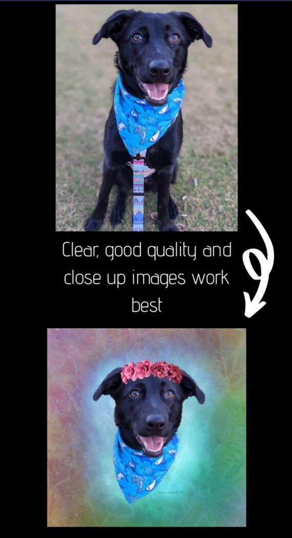 Pet Supplies Pet Portraits Pet Profile Picture Custom Digital Pet ...