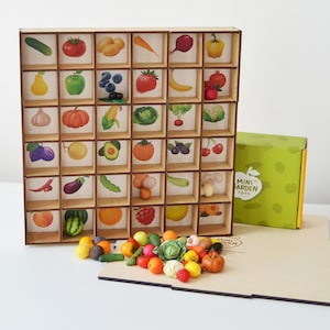 Montessori Sorting Toy: Miniature Polymer Clay Fruits & Vegetables - Etsy