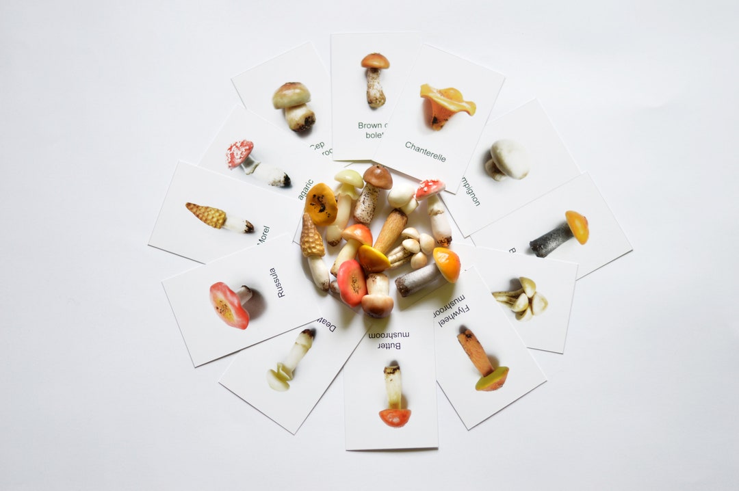 Learning With Montessori Cards, Printable Flashcards and Polymer Clay ...