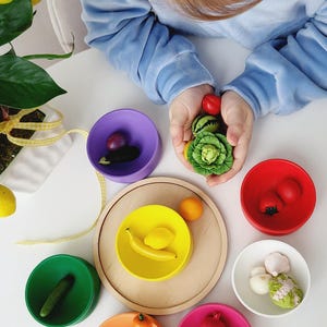 Miniature Food Color Sorting Set With Wooden Plates and Spoon, Airplane ...