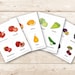 Instant Download Printable Montessori Flashcards Vegetables & Fruits ...