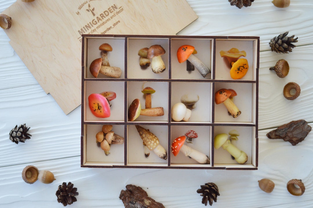 Sensory Bin: Polymer Clay Mini Mushrooms Toys, Personalized Fidget Toys ...