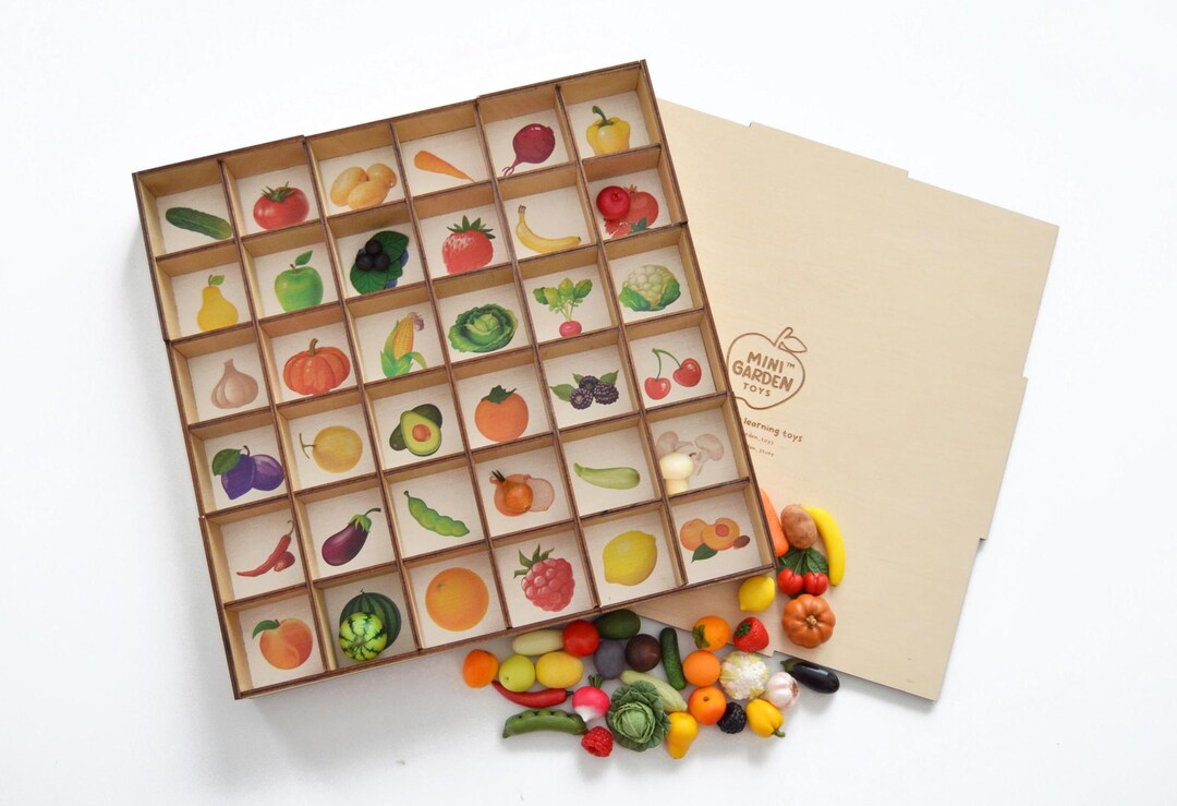 Montessori Sorting Toy: Miniature Polymer Clay Fruits & Vegetables - Etsy