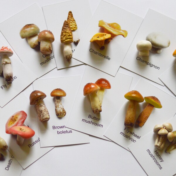 Montessori Cards - Etsy