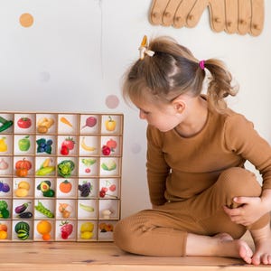Montessori Sorting Toy: Miniature Polymer Clay Fruits & Vegetables - Etsy