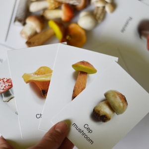 Learning With Montessori Cards, Printable Flashcards and Polymer Clay ...