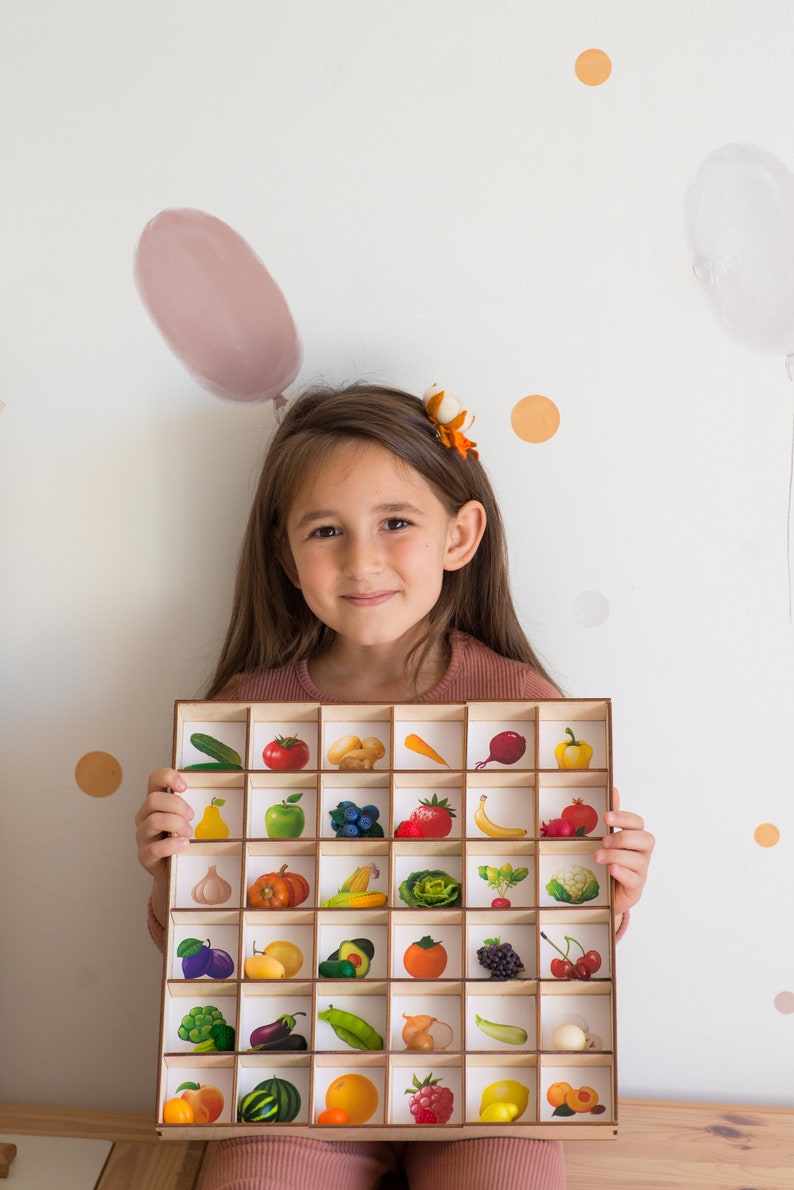 Illustrated Montessori Sorting Box Set With 16 or 36 Miniature Polymer ...