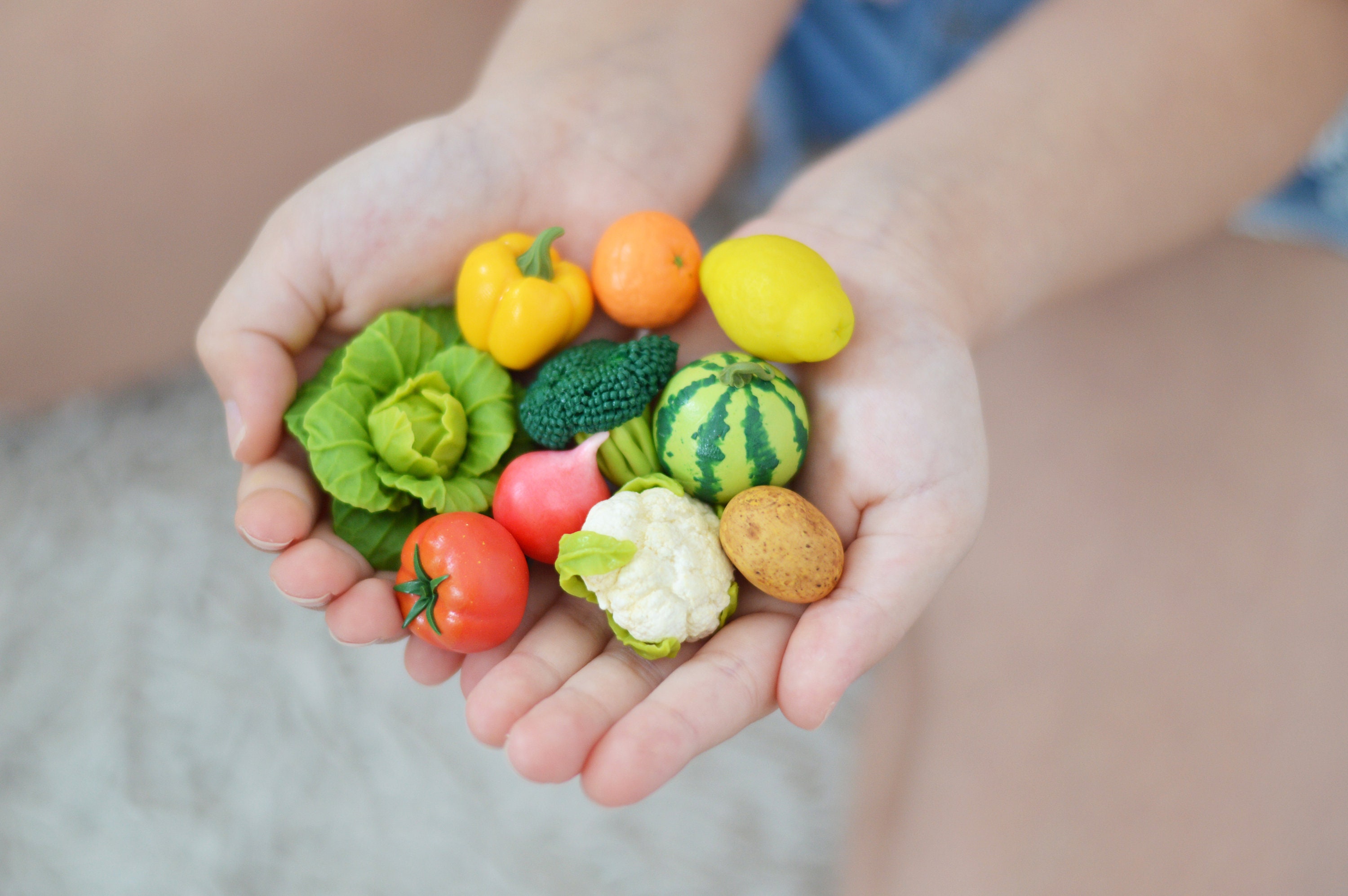Miniature Vegetables Vegetable Garden Montessori Learning Toys | Etsy