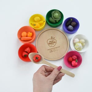 Miniature Food Color Sorting Set With Wooden Plates and Spoon, Airplane ...