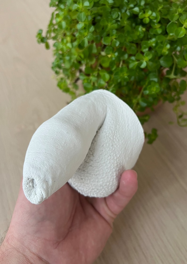 Soft Penis Casting - Etsy UK