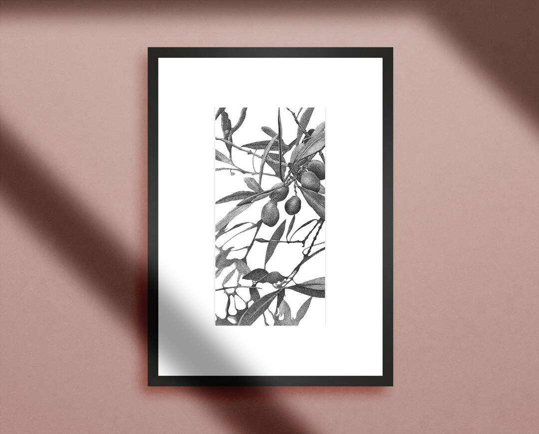 Olive Branch Art Print • Black and White Dotwork Botanical Illustration ...