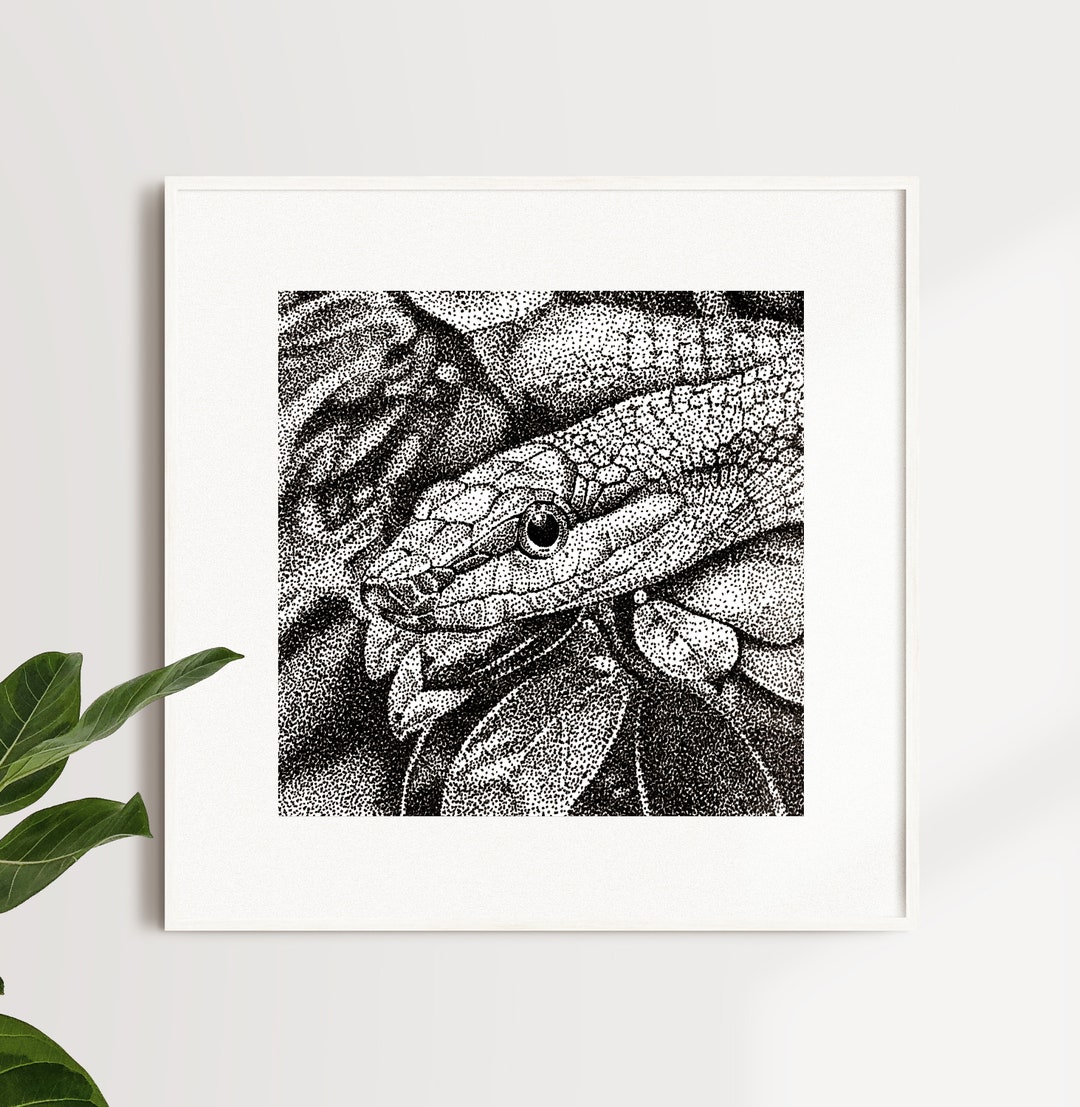 Snake Art Print Snake Dotwork Black and White Illustration for Reptile ...