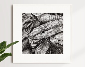 Fat Little Snake Sketch Illustration 8.5 X 11 Black and White Animal ...