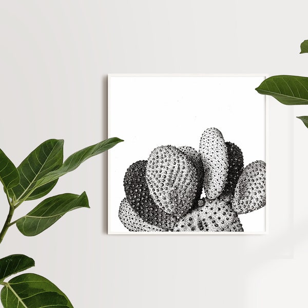 Cactus Drawing - Etsy