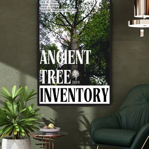 Printable Photography, Ancient Tree Inventory, Oak Tree, Forest Lovers ...