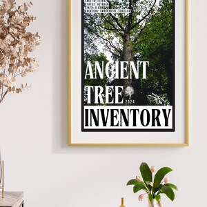 Printable Photography, Ancient Tree Inventory, Oak Tree, Forest Lovers ...