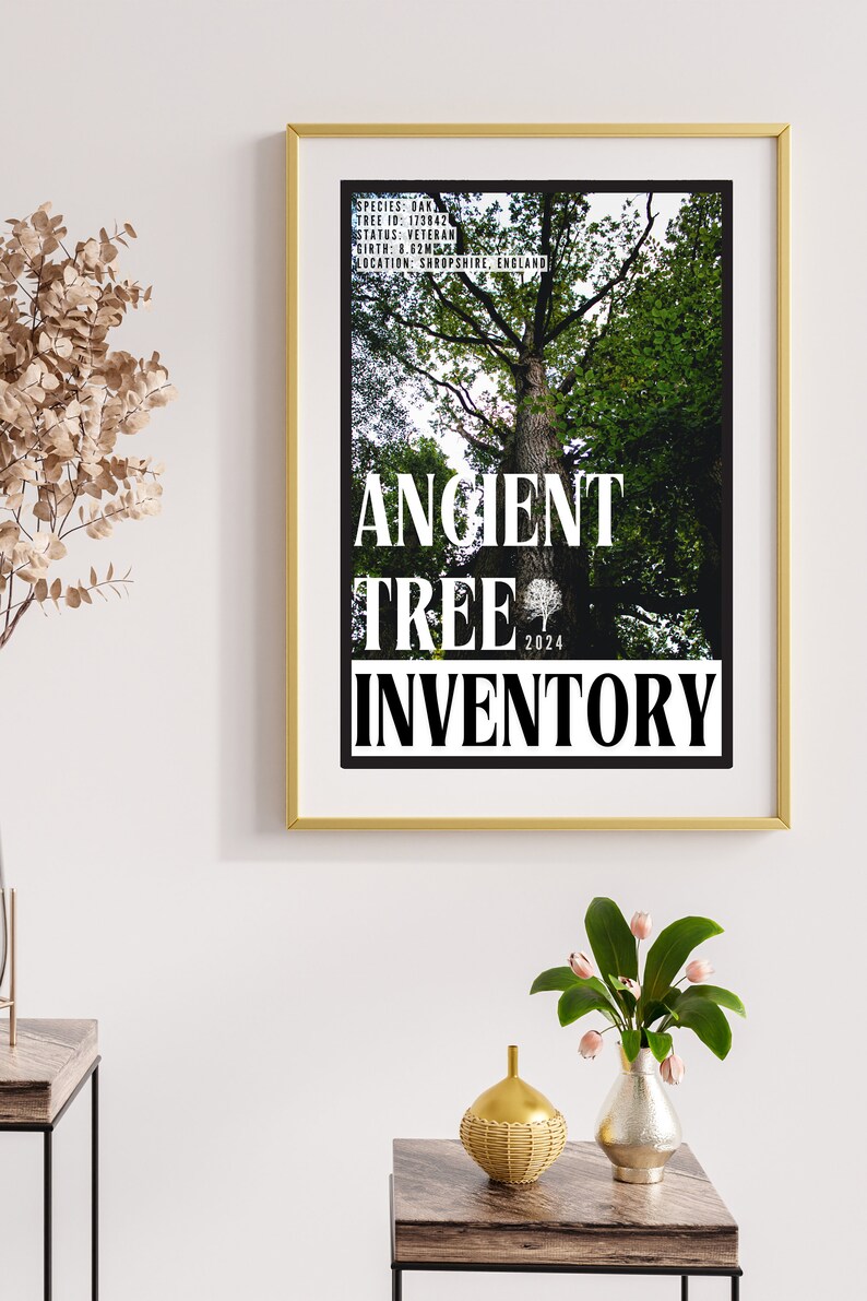 Printable Photography, Ancient Tree Inventory, Oak Tree, Forest Lovers ...