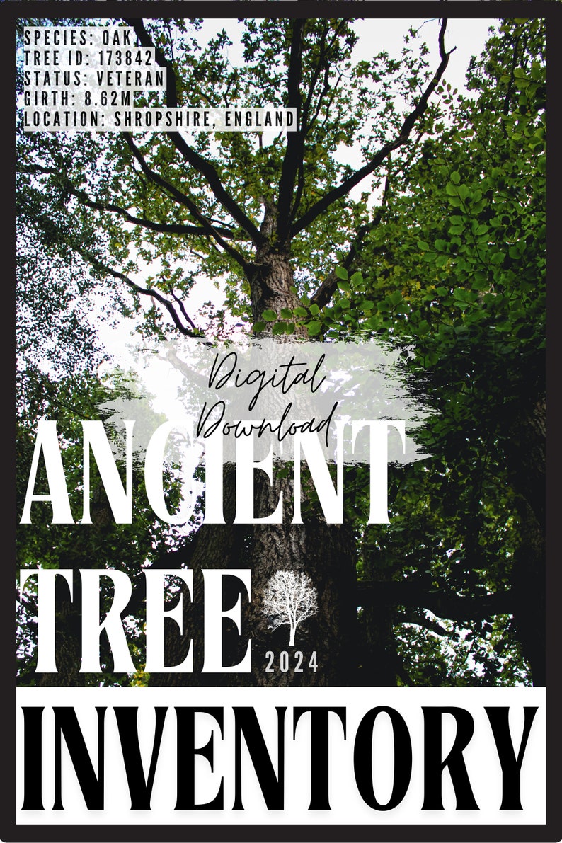 Printable Photography, Ancient Tree Inventory, Oak Tree, Forest Lovers ...