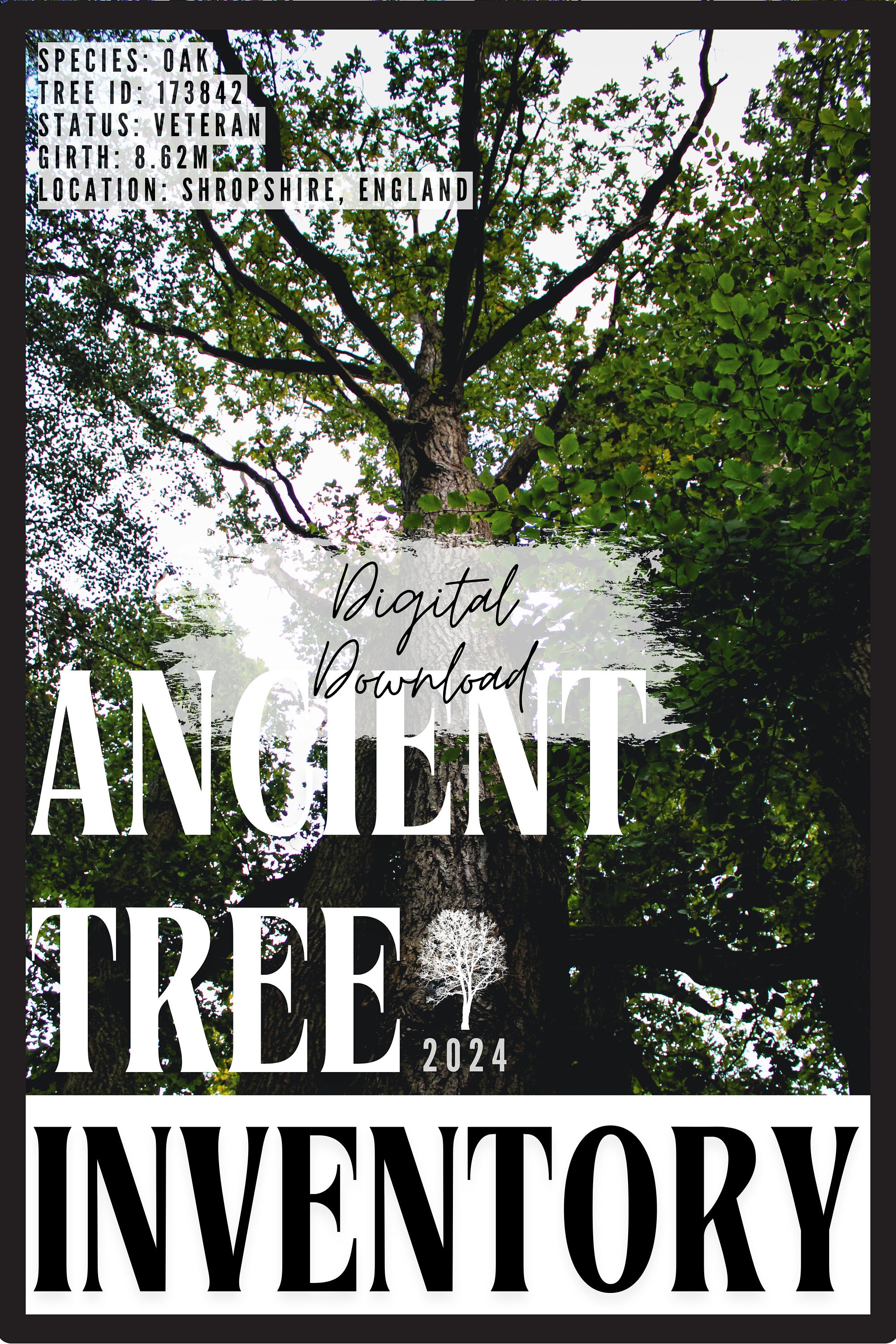 Printable Photography, Ancient Tree Inventory, Oak Tree, Forest Lovers ...