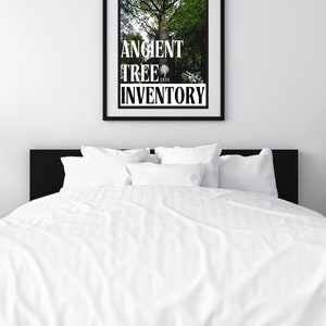Printable Photography, Ancient Tree Inventory, Oak Tree, Forest Lovers ...